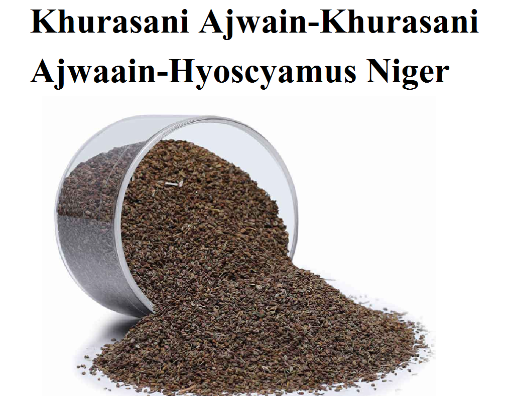 100% Pure Khurasani Ajwain-Khurasani Ajwaain Hyoscyamus Niger | eBay ...