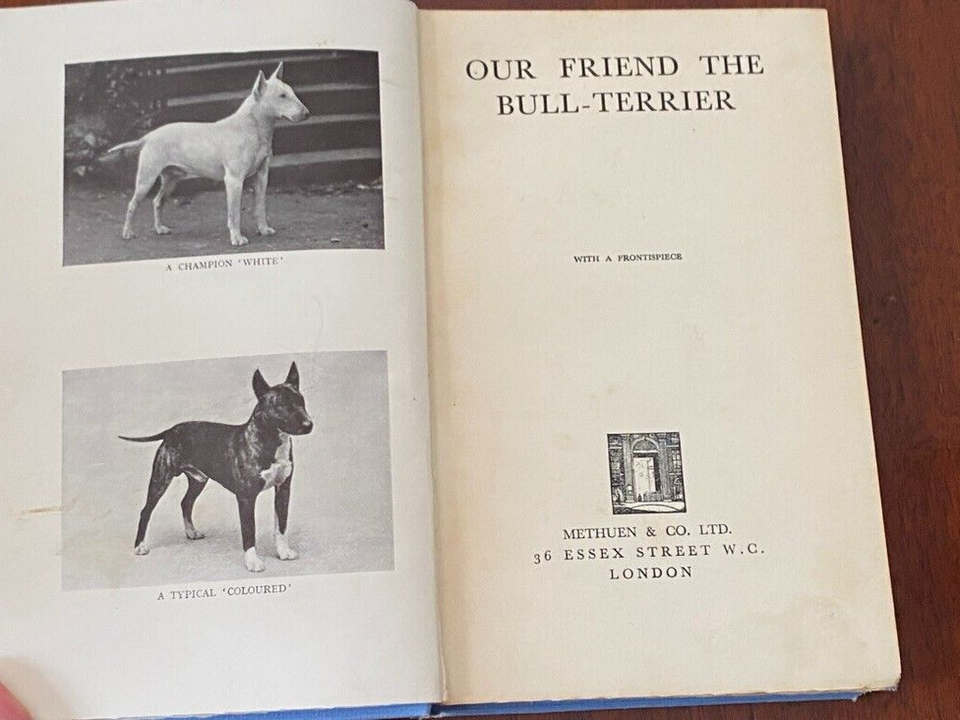 RARE "OUR FRIEND THE BULL TERRIER" DOG BOOK BY JOHNS 1ST 1934 | eBay