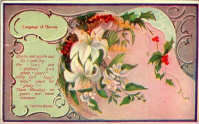 vintage postcard - Language Of Flowers Myrtle Lily &poem posted 1911 | eBay