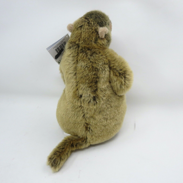 Marmot Groundhog Woodchuck Stuffed Animal Plush Yellow Bellied for sale ...