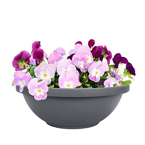 18 Inch Large Garden Bowl Planter Shallow Plant Pot With Drainage Plug ...