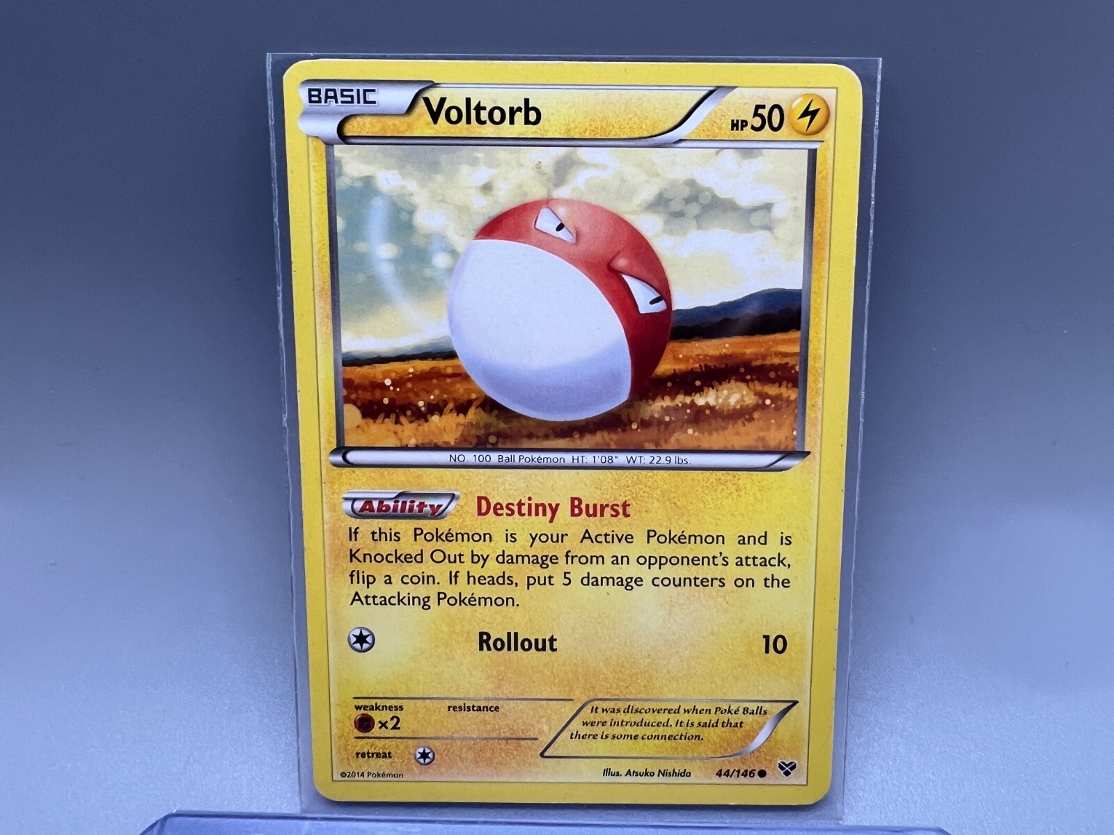 Pokemon TCG Voltorb 44/146 - XY Base Set (2014) - Common - Near Mint (w/sleeve) | eBay