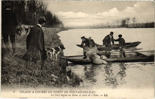 CPA Fontainebleau Le Cerf dague en Seine et sorti de l'Eau FRANCE ...