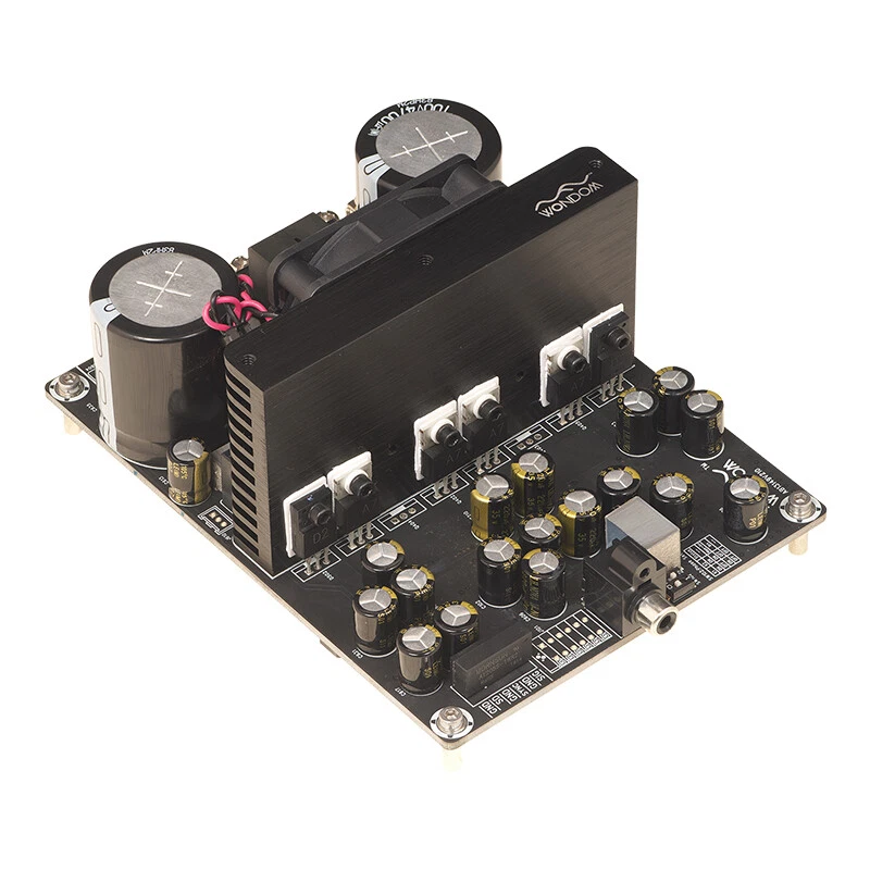 Class D Power Amp Module
