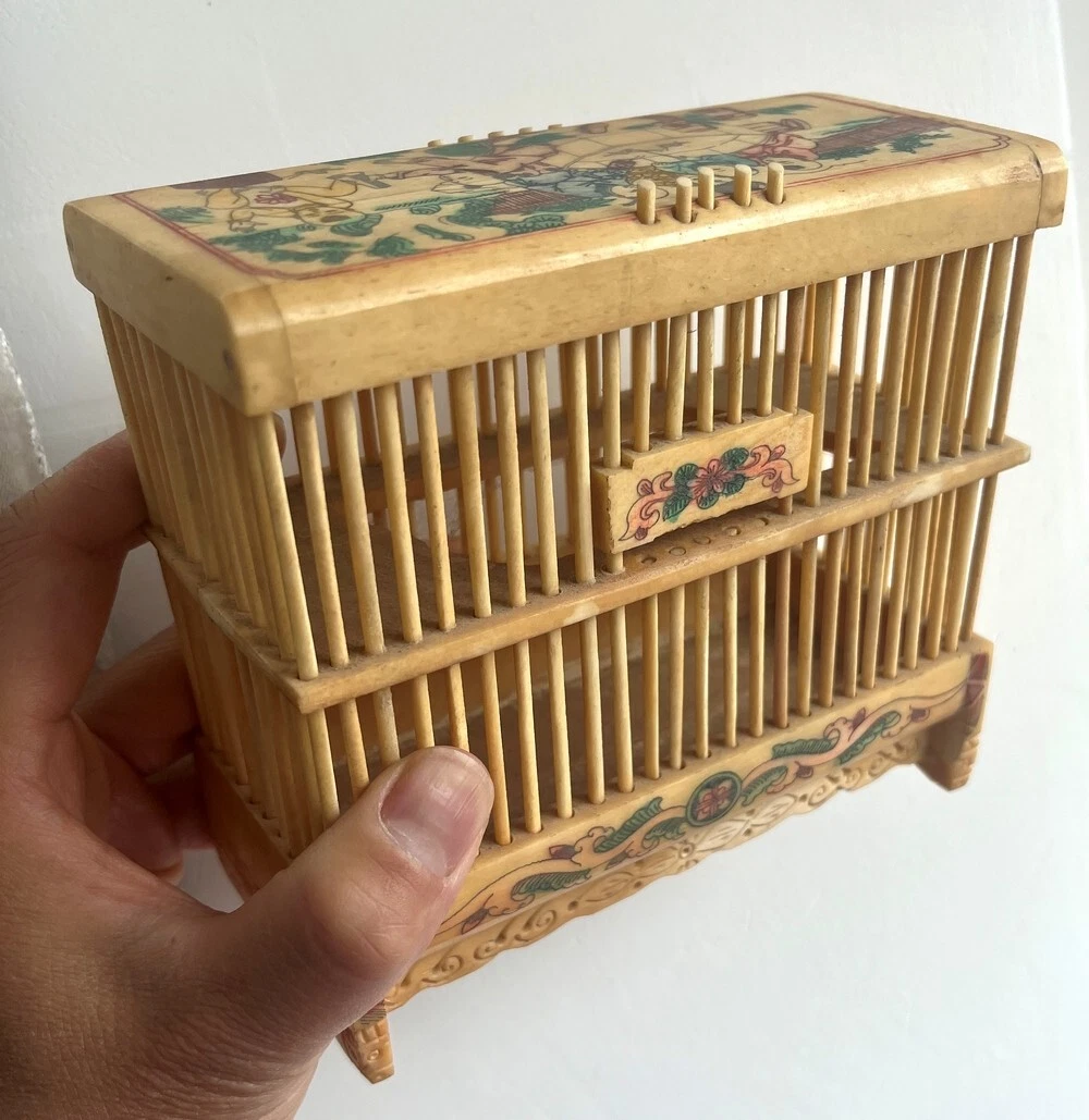 Chinese Pet Cricket
