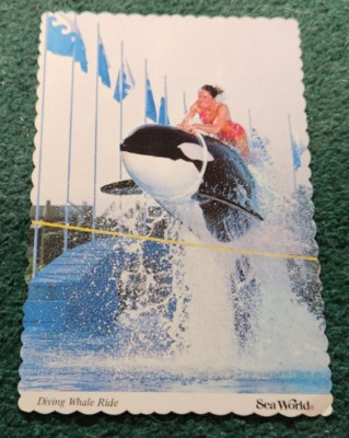 1983 DIVING WHALE RIDE Shamu Show Sea World GP-9 Postcard Bareback ...