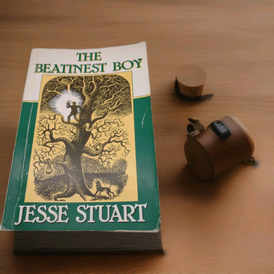 The Beatinest Boy by Jesse Stuart Vintage Book Used 1990 | eBay