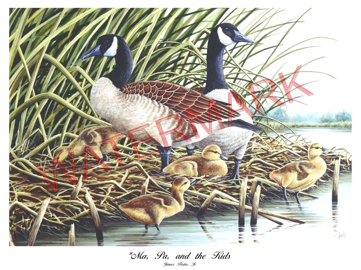 ジェームズ・バード・ジュニア