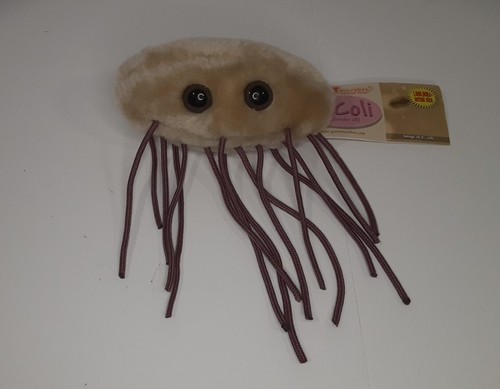 GIANT MICROBES-E COLI-Stuffed Plush Escherichia Bacteria Biology ...