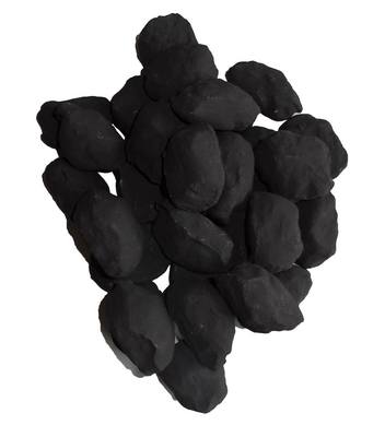 20 LARGE REPLACEMENT CERAMIC CAST COALS FOR LIVING FLAME GAS FIRE UK ...