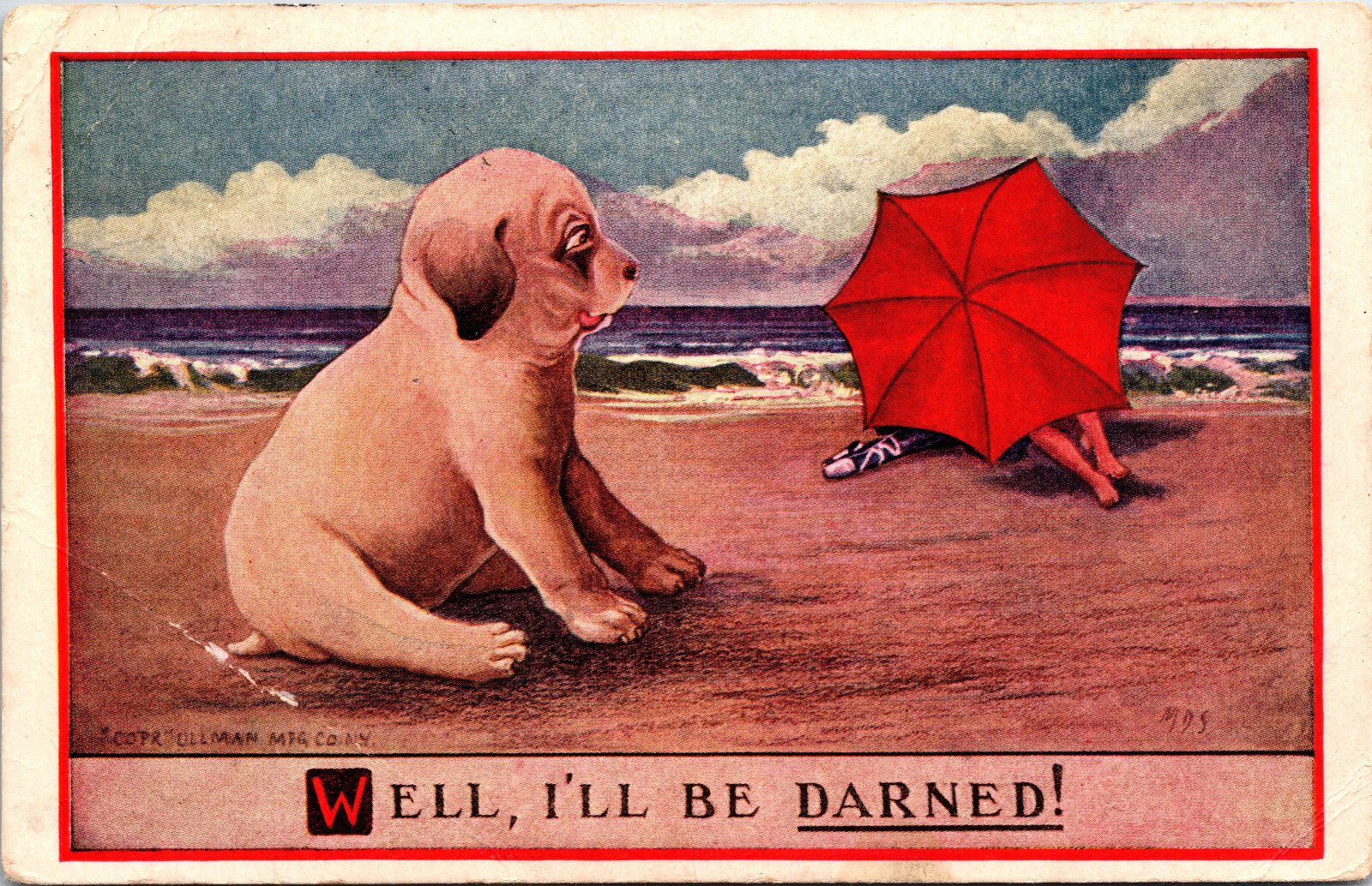 Postcard Comical WELL I'LL BE DARNED!, Circa 1910, Posted COM21 | eBay