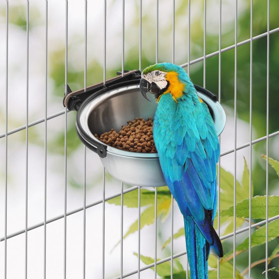 birds feeder Parrot Feeding Cups Bird Feeder Dish Cup Bird Food and ...