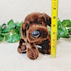 Ganz Webkinz Chocolate Lab Puppy Dog Plush/Stuffed Animal No Code ...