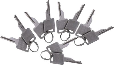 D250 Ignition Keys 307852A1 6693241 6709527 714602 A77313 Comaptible ...