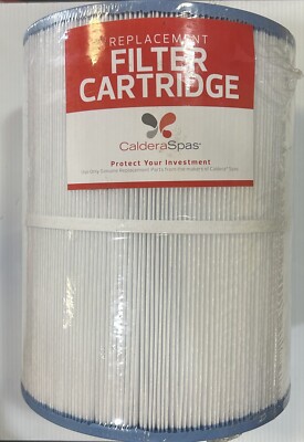 NSF-50 Certified Watkins Caldera Spa Filter | eBay
