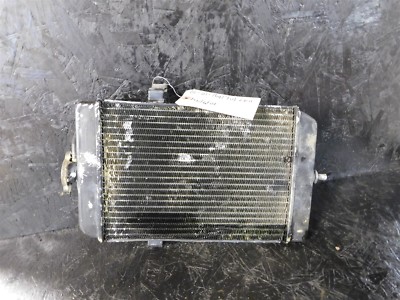 2001 Yamaha Raptor 660 Radiator 5LP-12461-00-00 | eBay