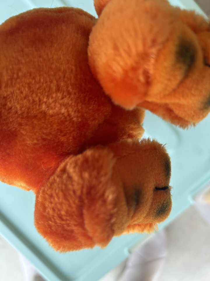 1982 Vintage Heathcliff Plush Stuffed Toy Applause Cat 10" | eBay