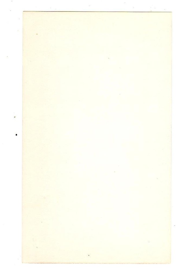 FREDBIRD ~ ST LOUIS CARDINALS MASCOT ~ TEAM ISSUE Postcard Card Photo ...