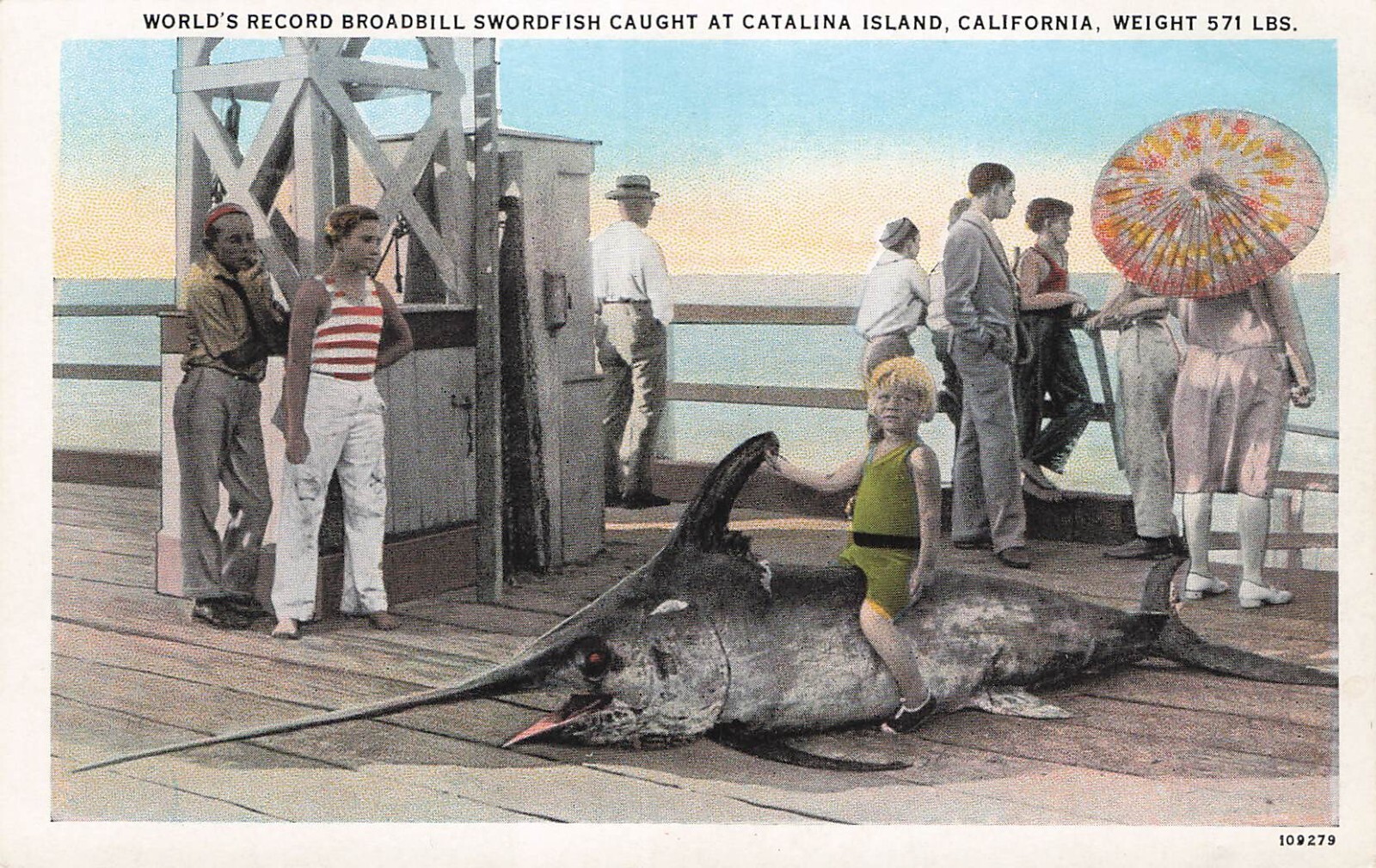 Vintage Postcard Catalina Island California World Record Swordfish 571 ...