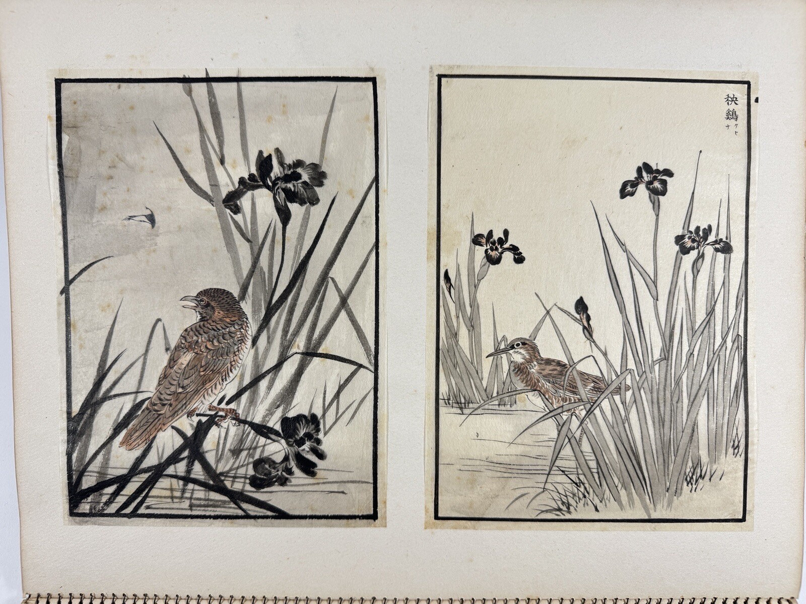 Japanese Drawing Book “Kachoshu” Picture of birds and flowers 49 ...