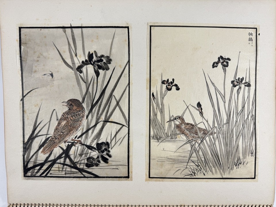 Japanese Drawing Book “Kachoshu” Picture of birds and flowers 49 ...