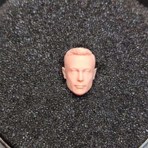 1/24 Scale Tesla Founder Elon Reeve Musk Head Sculpt Unpainted Fit 2.5 ...