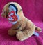 TY Beanie Babies TIGGS Brown Tiger Sparkle Eyes VelveTy 6” Soft Plush ...