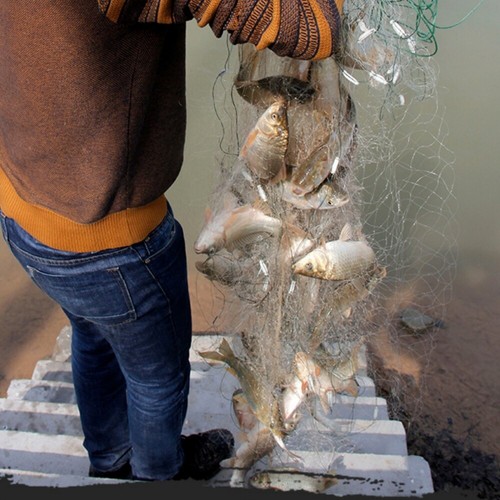 100 ft Survival Gill Net--Fully Adjustable, Multipurpose(Enhanced)-4/5 ...