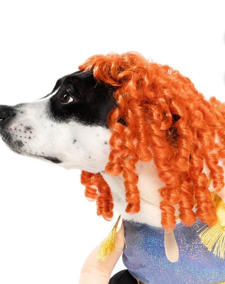 VIBRANT LIFE HALLOWEEN COSTUME FOR Poodle, Beagle DOG POP PRINCE Size S ...
