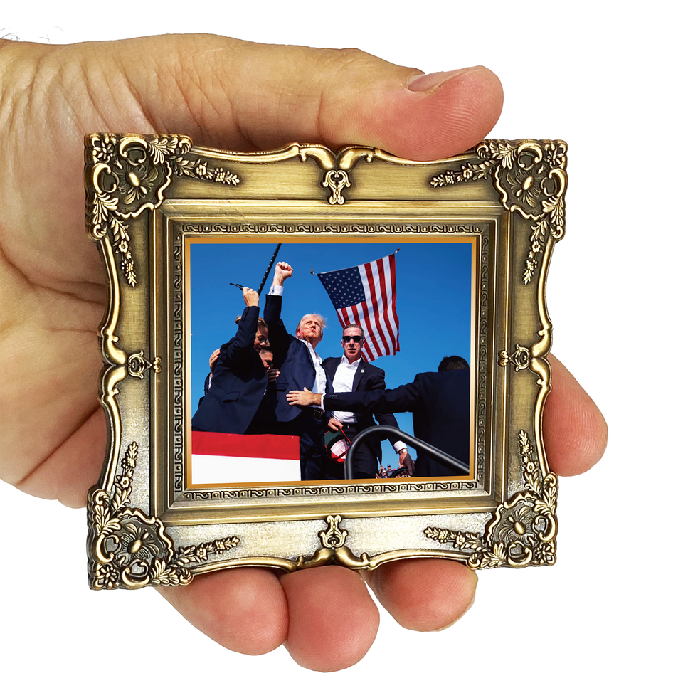 DD-021 President Donald J. Trump Fight Fight Fight Frame Artwork ...