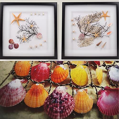 135 Pcs Mixed Sea Shells Beach Ocean Seashells for Vase Fillers Fish ...