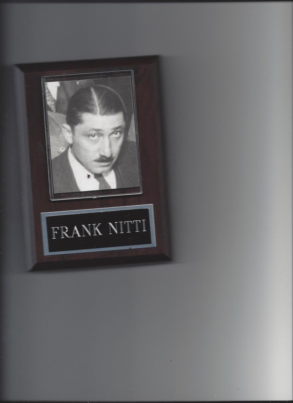 FRANK NITTI PLAQUE MAFIA ORGANIZED CRIME MOBSTER MOB | eBay