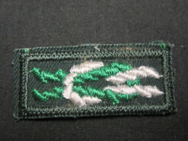 Scouter's Key Award Square Knot on Dark Green, Clear Plastic Back NR | eBay