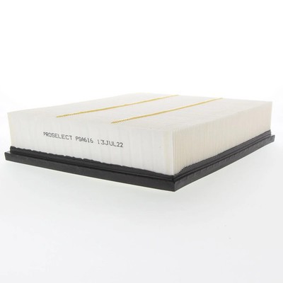 Proselect Air Filter PSA616 | eBay Australia