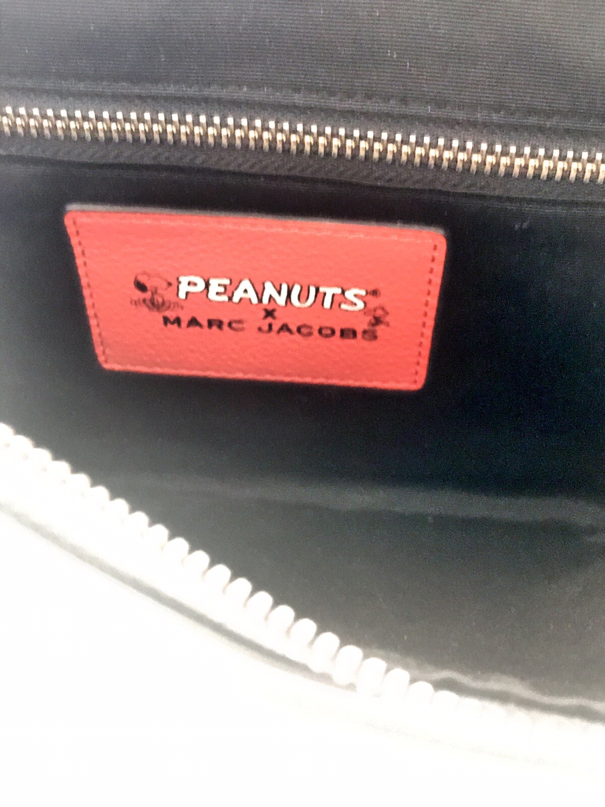 Marc Jacobs x Peanuts The Box 23 Snoopy Comic Strip Crossbody Bag | eBay