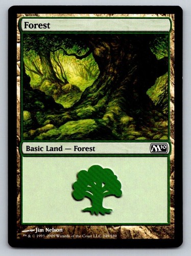 # 249/249 Forest Basic Land - Forest 2009 MTG Magic The Gathering | eBay