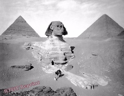 Photograph of the Great Sphinx of Giza Taken in 1875 8x10 | eBay