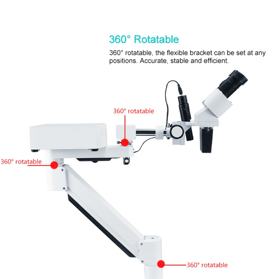 Dental Surgical LED Stereo Microscope Root Canal Microscope with Cart ...