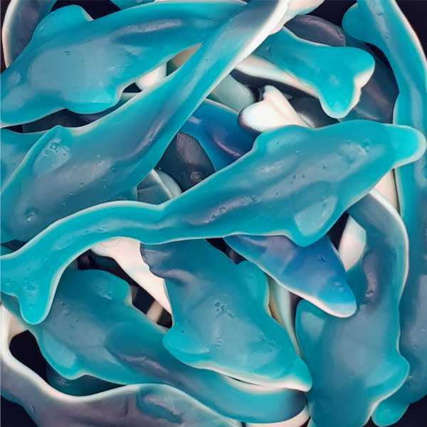 Gummy Dolphins