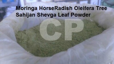 Moringa Horseradish Oleifera Tree Sahijan Shevga Leaf Powder 50gm (1.7 ...