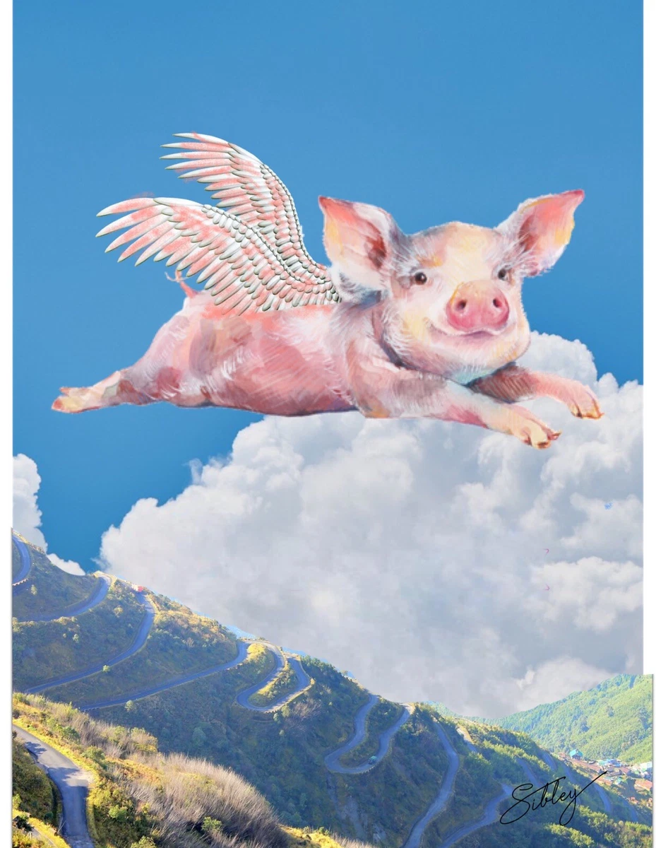 Flying Pig Art