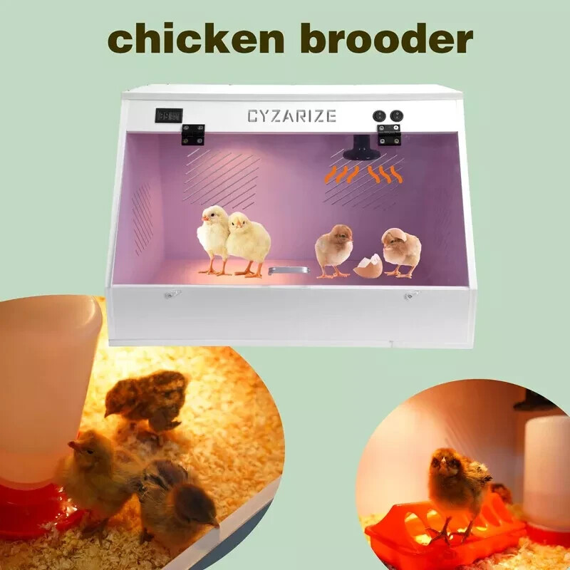 Chicken Brooder Box Chick Brooding Box with Heat Lamp (Holds 12-18 ...