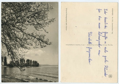 67692 - Summer Day at Lake Constance - Real Photo - Old Postcard | eBay