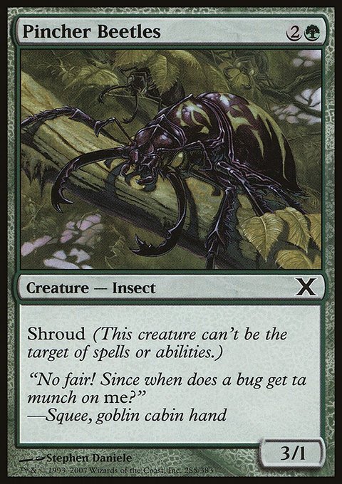 MTG Magic the Gathering Pincher Beetles (285/514) Tenth Edition LP | eBay