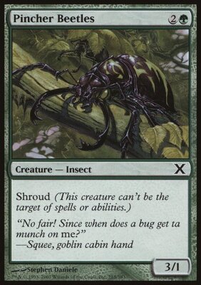 MTG Magic the Gathering Pincher Beetles (285/514) Tenth Edition LP | eBay