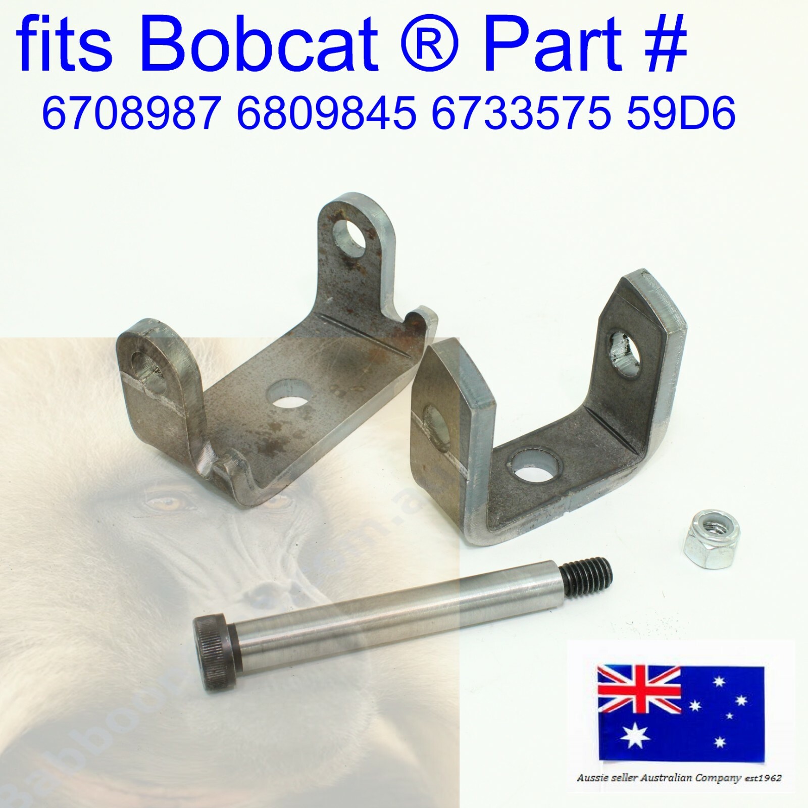 Rear Door Hinge Kit for Bobcat S750 S770 S850 A770 T450 T550 T590 T595 ...
