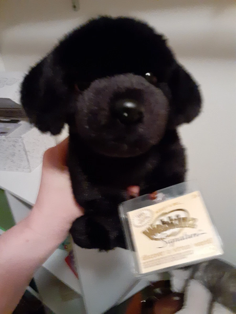 Webkinz Signature Black Lab
