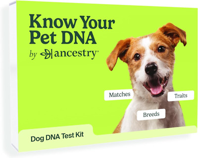Know Your Pet DNA by Ancestry: Dog DNA Test Kit, Breeds, Traits, DNA ...