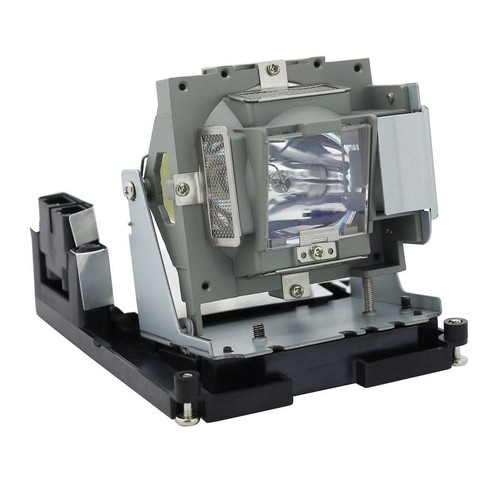 Dynamic Lamps Projector Lamp With Housing For Infocus SP-LAMP-065 ...