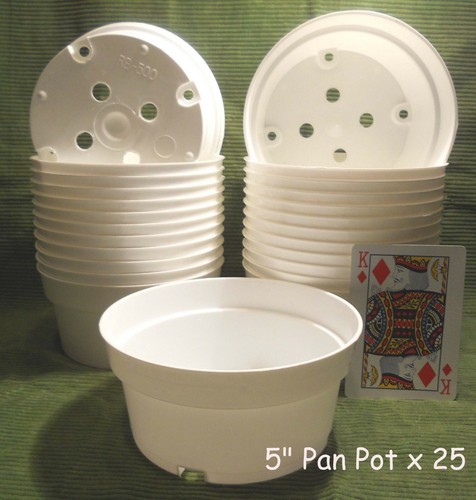 Pan Pots Bulb Pans 5” shallow plastic pots white set of 25 | eBay